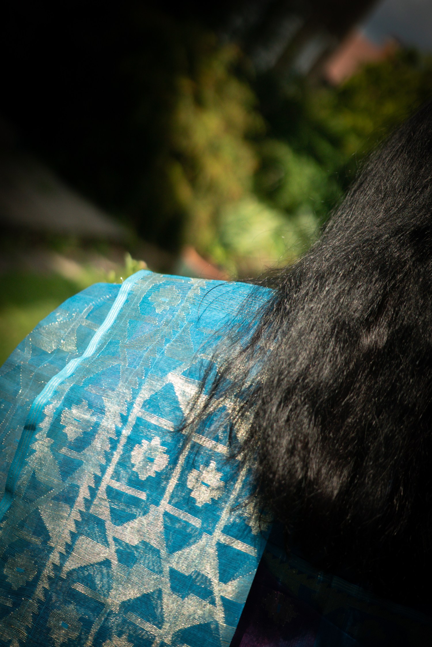 Muslin Trust – For the protection, preservation and promotion of ...